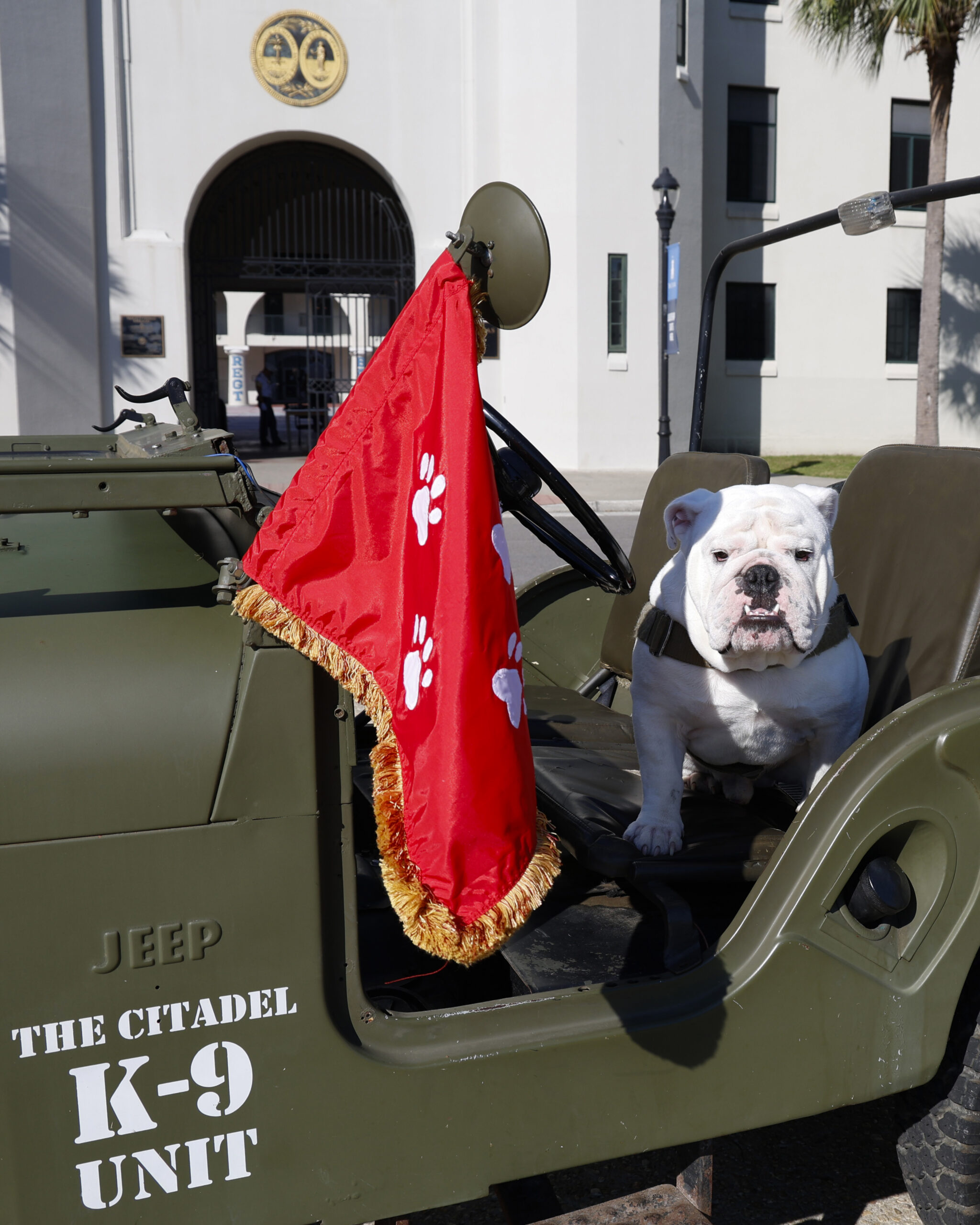 Citadel Live Mascot Team - Cadet Activities
