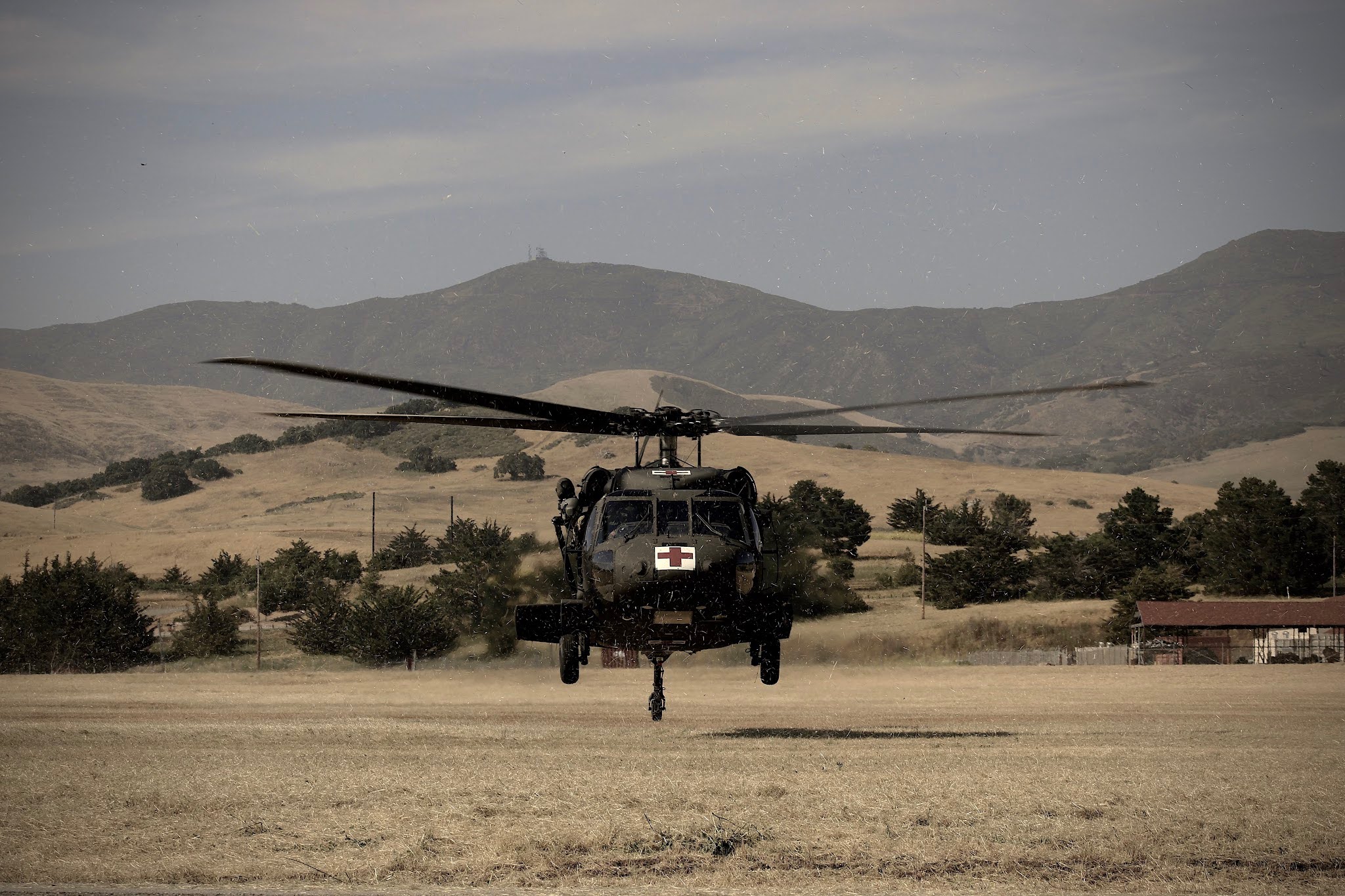 2024 Edition - The Gold Star Journal