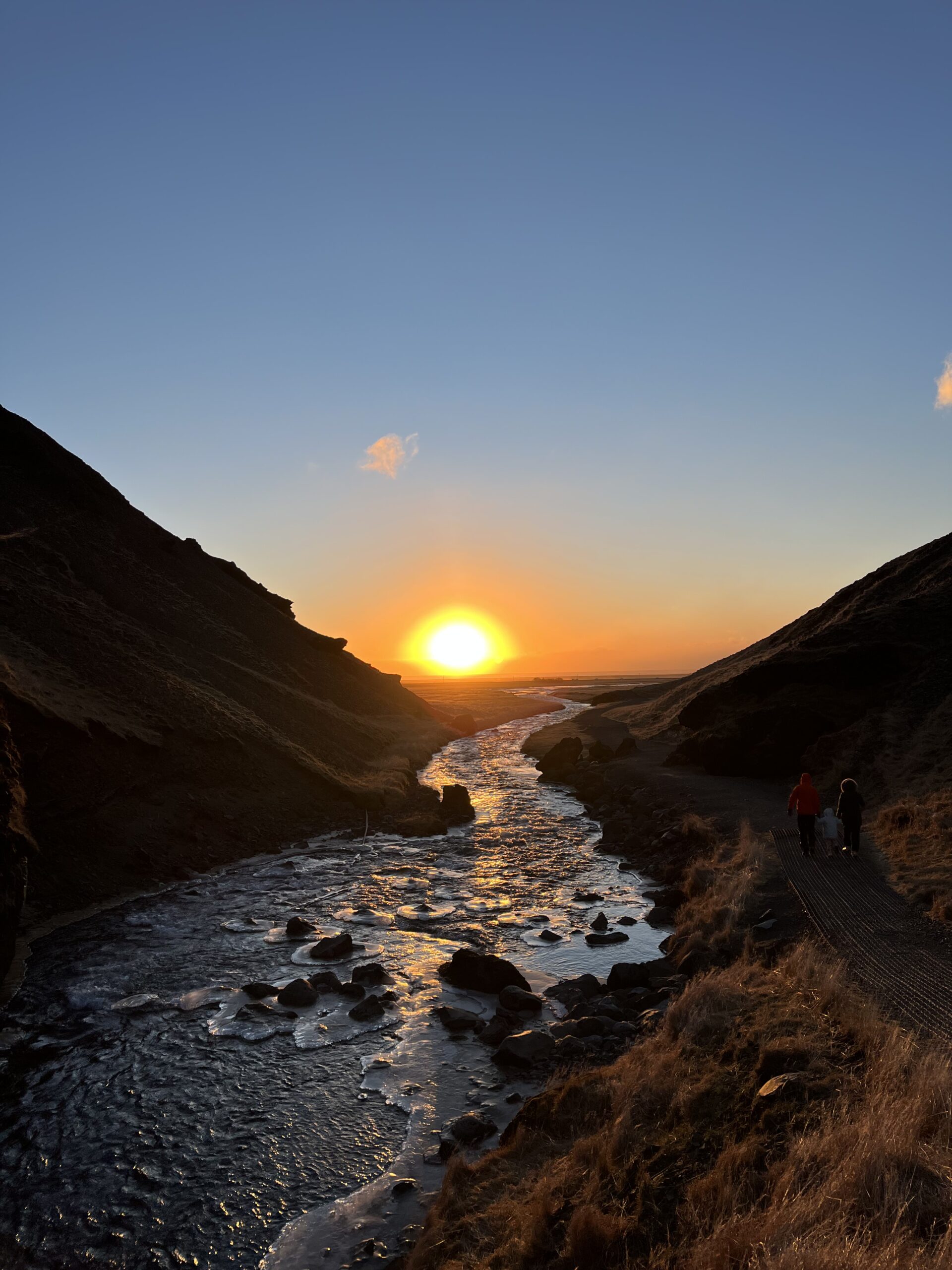 2025 Edition - The Gold Star Journal