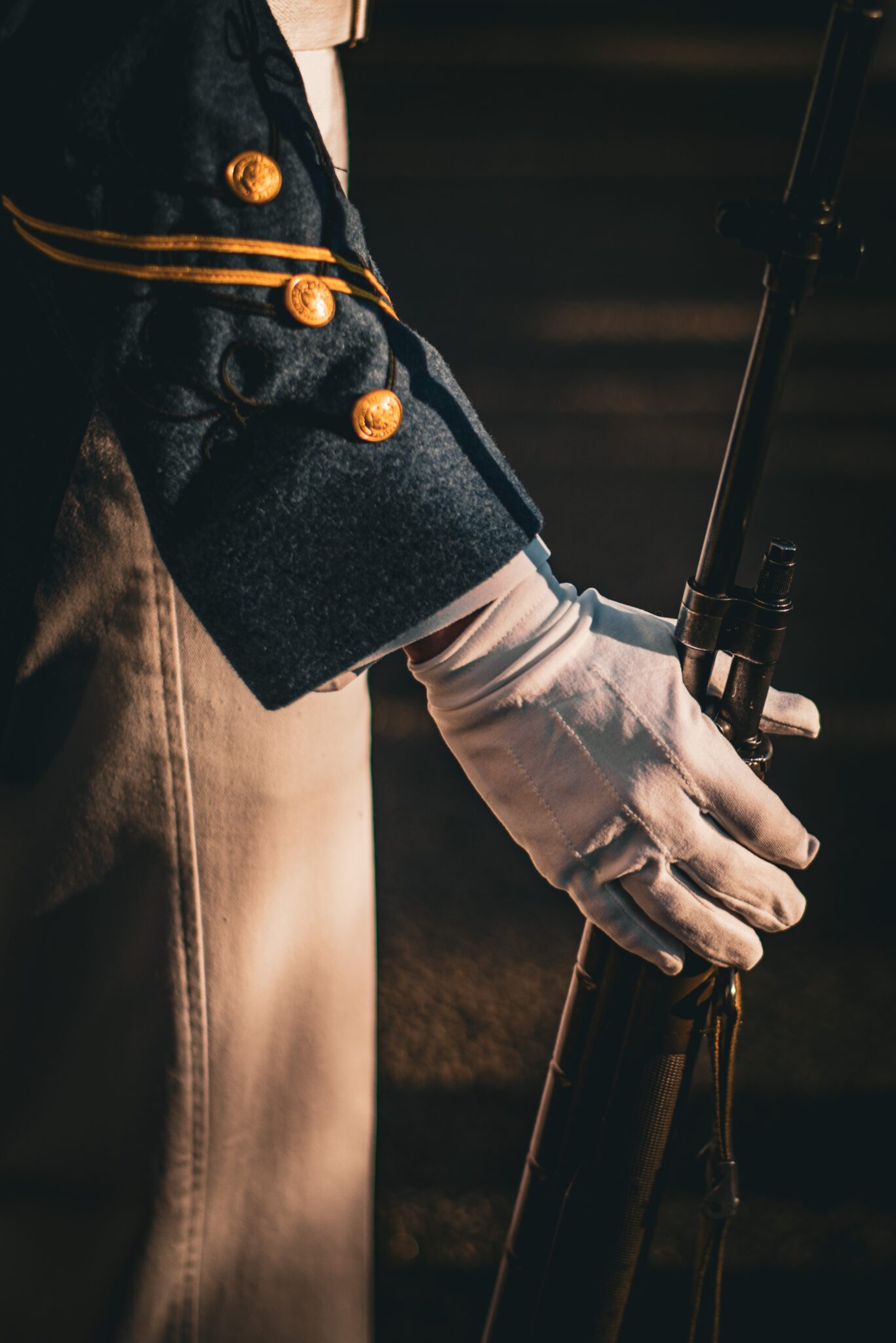 2023 Edition - The Gold Star Journal