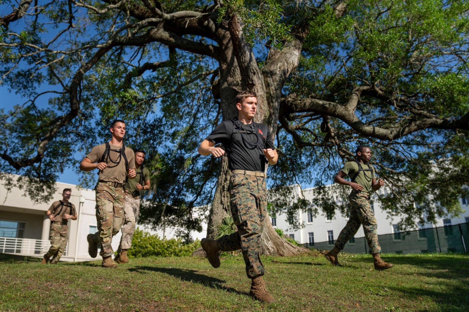 The Citadel Marine Contingent