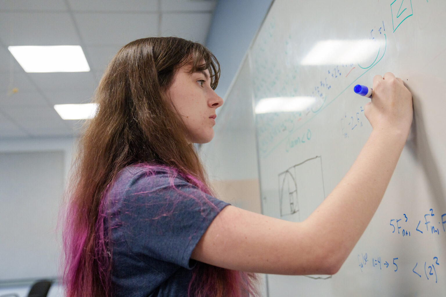 Department of Mathematical Sciences - Department of Mathematical Sciences