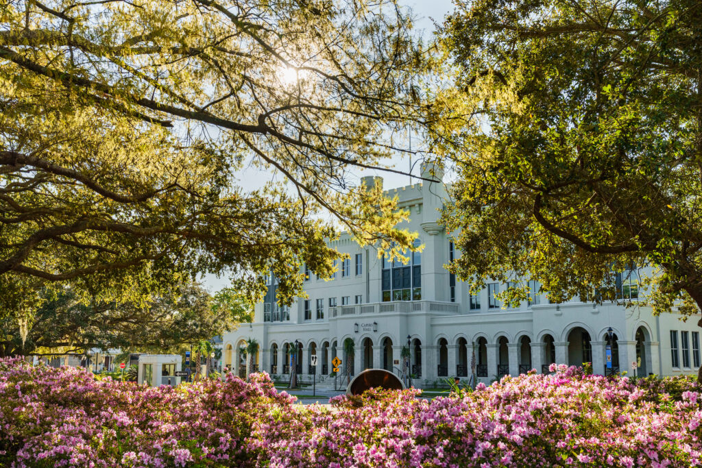 French Major - Department of Modern Languages, Literatures, & Cultures